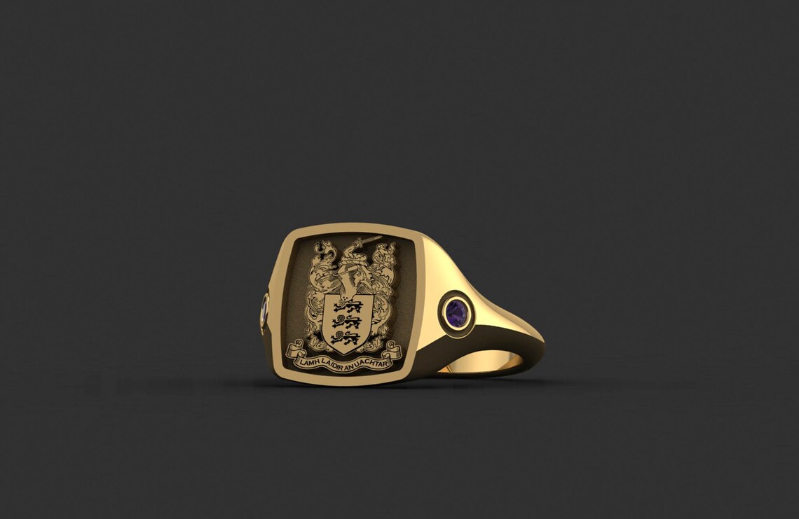 Celtic Design Raised Family Ring, Coat of Arms Ring, Family Crest Rings ...