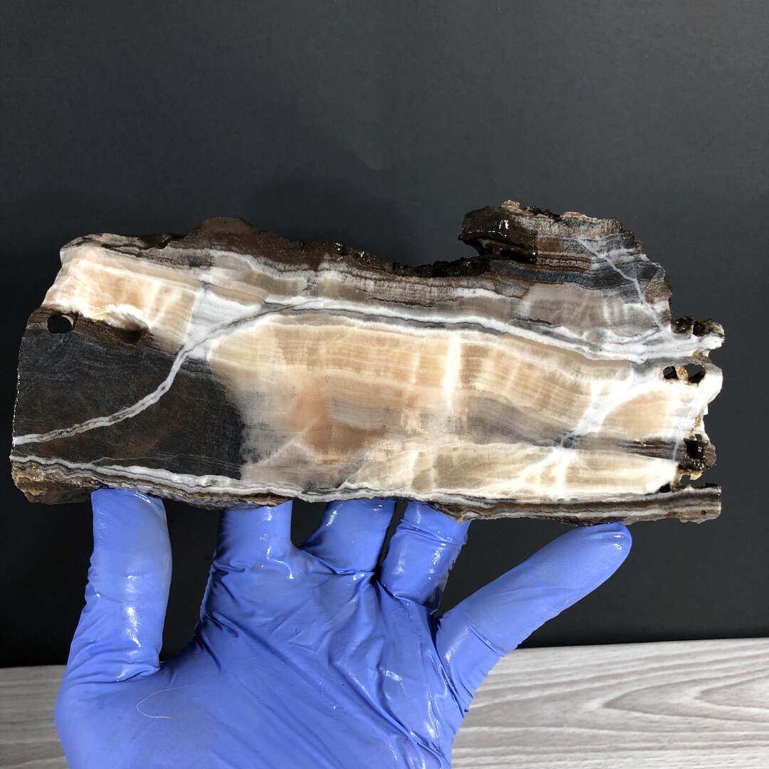 1.82lbs Banded Calcite Slab: Rough Cut Mineral Stone MTL-19 - Etsy