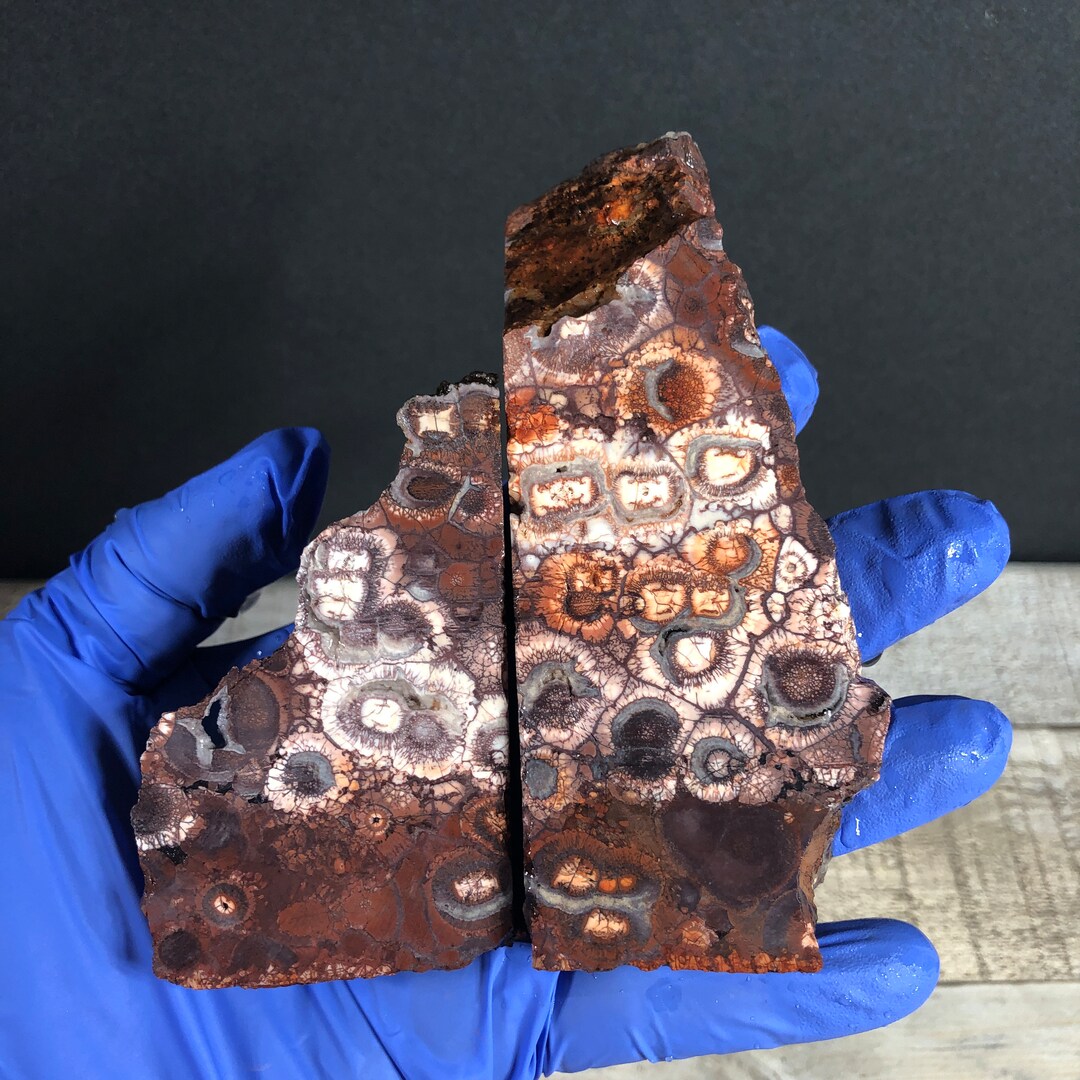 2pcs 324g Birds Eye Rhyolite Slab Rough Stone Mineral Crystal Rock ...