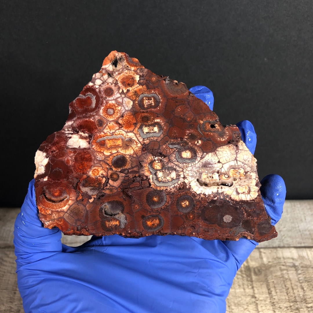 405g Birds Eye Rhyolite Slab Rough Stone Mineral Crystal Rock Shown Wet ...