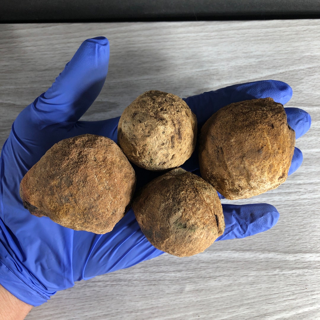 1.21lbs 4pcs Hematite Nodule Concretion Natural Sphere Round Ball ...