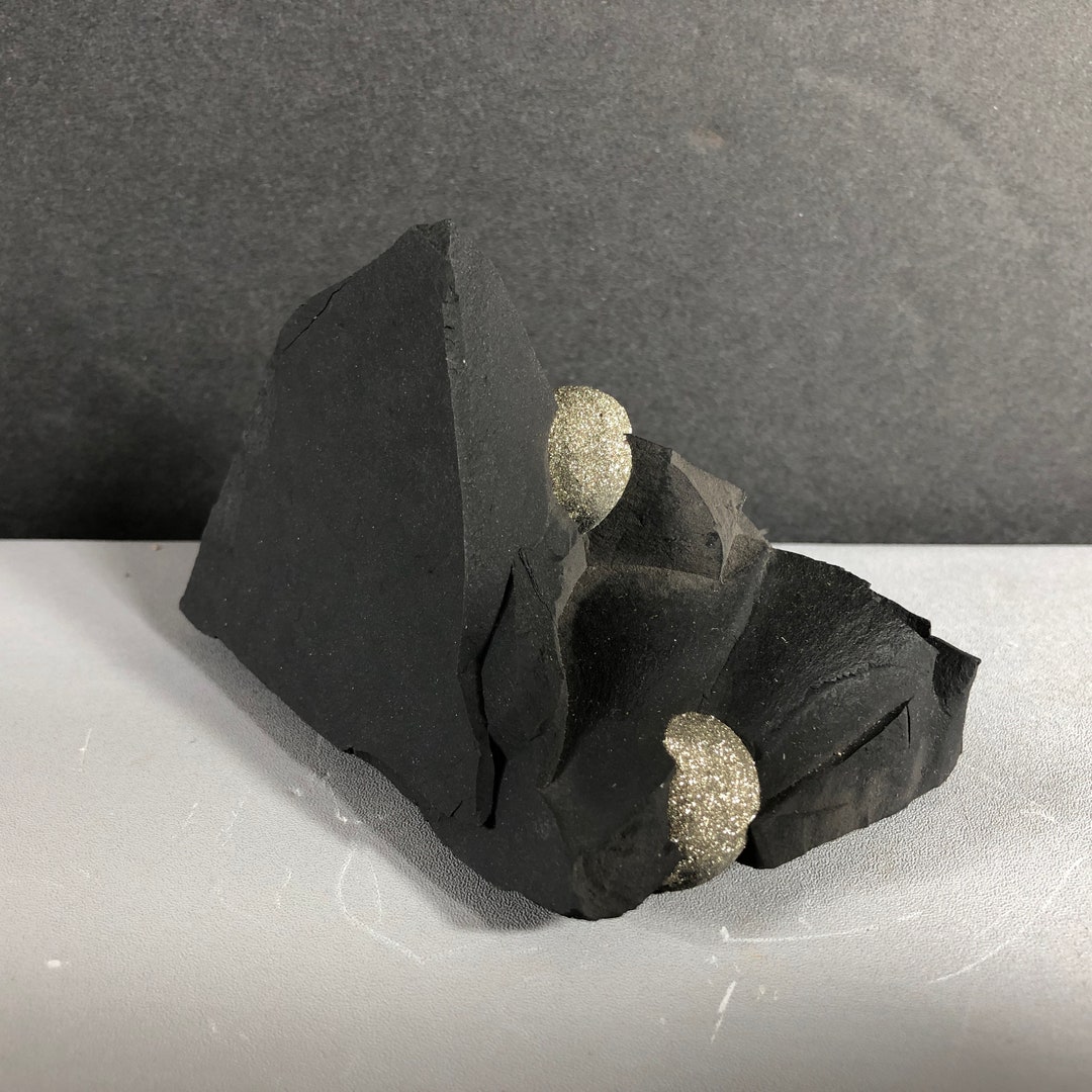 250g 2 Pyrite Nodules in Black Shale Natural Crystal Mineral Specimen ...