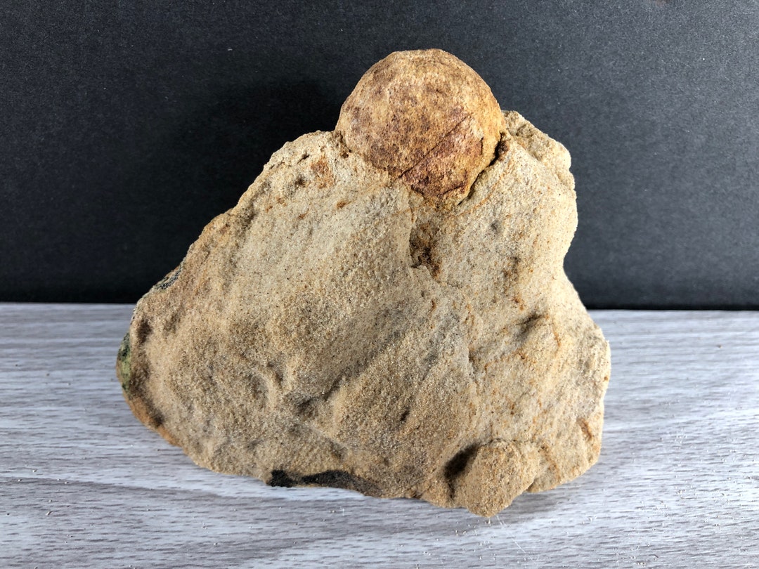 Hematite Nodule in Sandstone Matrix: Botryoidal Crystal Sphere ...