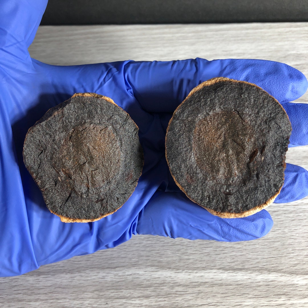 202g Split Hematite Nodule Concretion Natural Sphere Round Ball ...