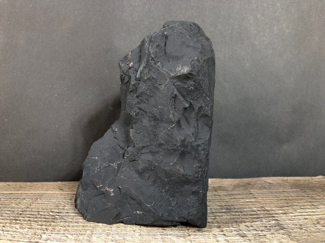 1.04lbs Russian Shungite W Pyrite Crystal Natural Mineral Specimen ...