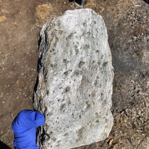 8 4.36lbs Muscovite Mica Schist Silver Sheen Luster Flashy Freeform ...