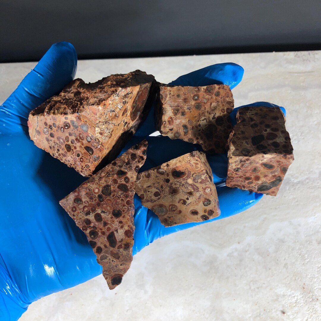 329g 5pcs Bauxite Slab Crystal Mineral Stone Rough Rock Cut Not ...