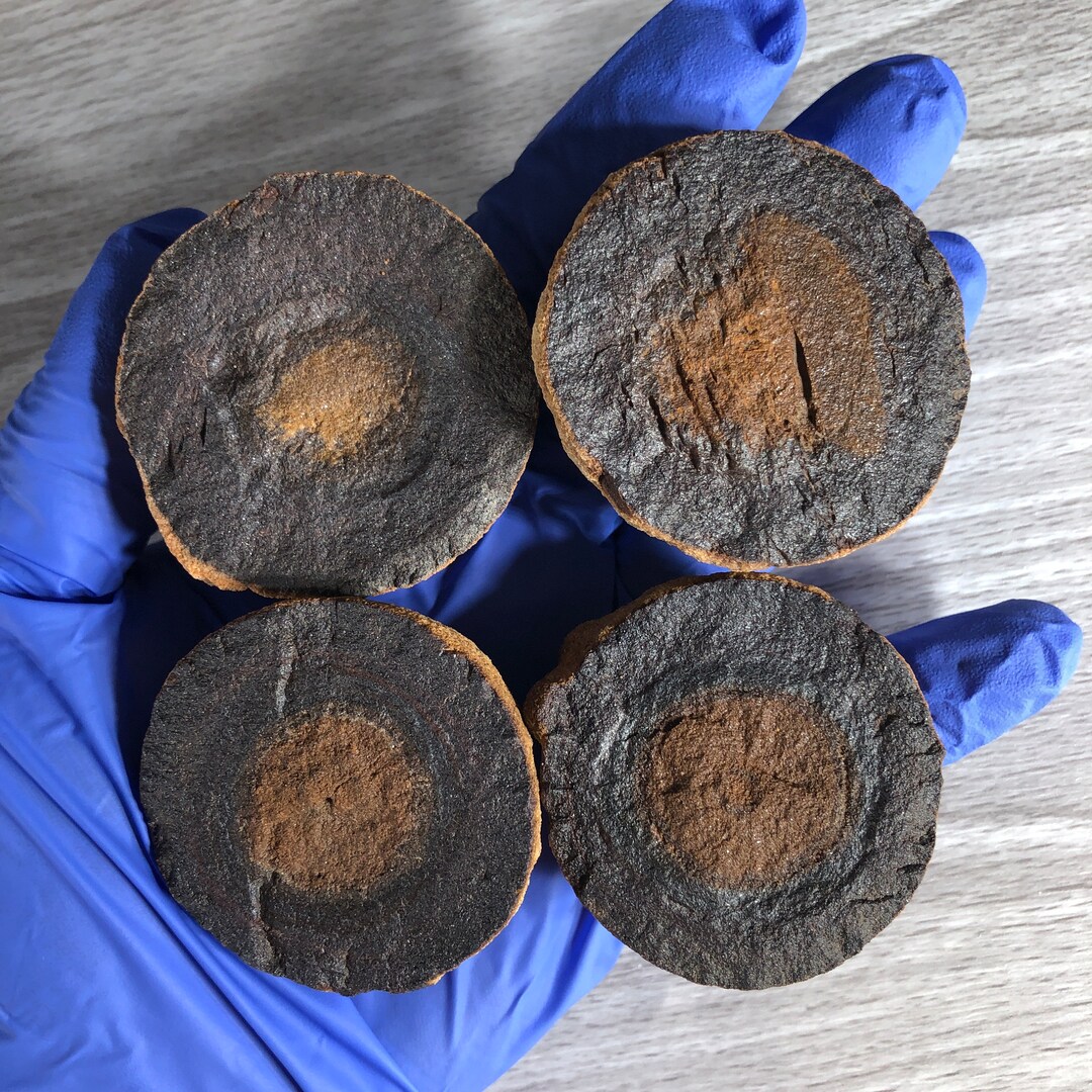 381g 4pcs Hematite Nodule Concretion Natural Sphere Round Half Ball ...