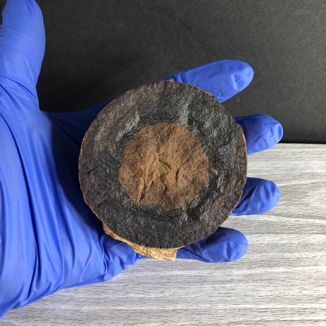 368g Hematite Nodule Concretion Natural Sphere Round Half Ball ...