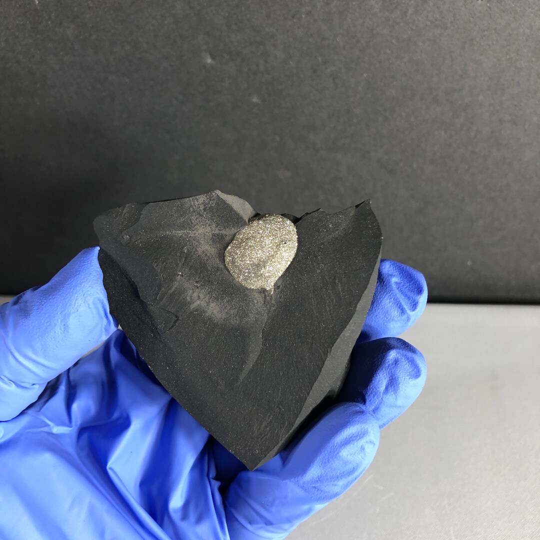 76g Pyrite Nodule in Black Shale Natural Crystal Mineral Specimen TT-12 ...