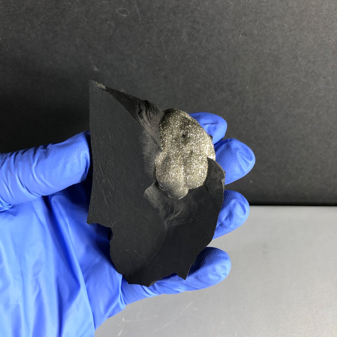 249g Pyrite Nodule in Black Shale Natural Crystal Mineral Specimen TT ...