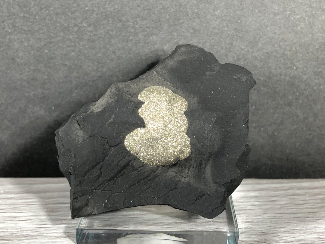 90g Sparkly Pyrite Nodule in Black Shale From Australia W Display Stand ...