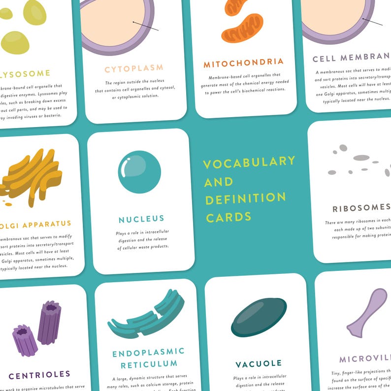 Human Cell Printable Activity Bundle - Human Cell Anatomy - Kids ...