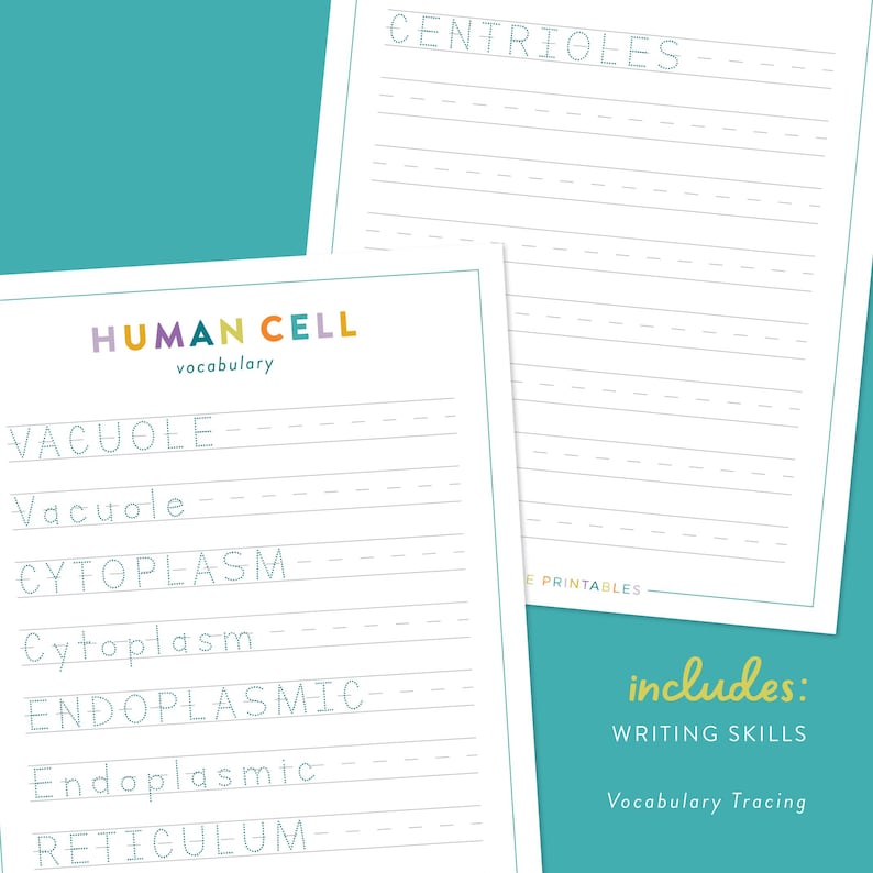Human Cell Printable Activity Bundle - Human Cell Anatomy - Kids ...