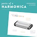 Harmonica Parts Printable Memory Game, Learning the Harmonica, Kids ...