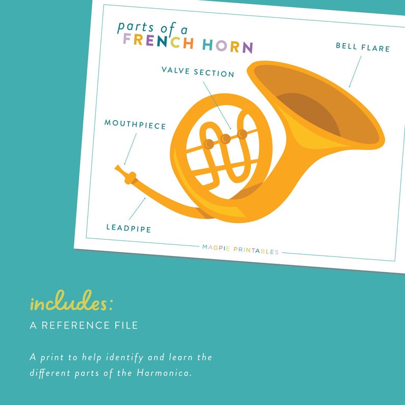 French Horn Parts, Music Learning Activity, Printable Worksheets ...