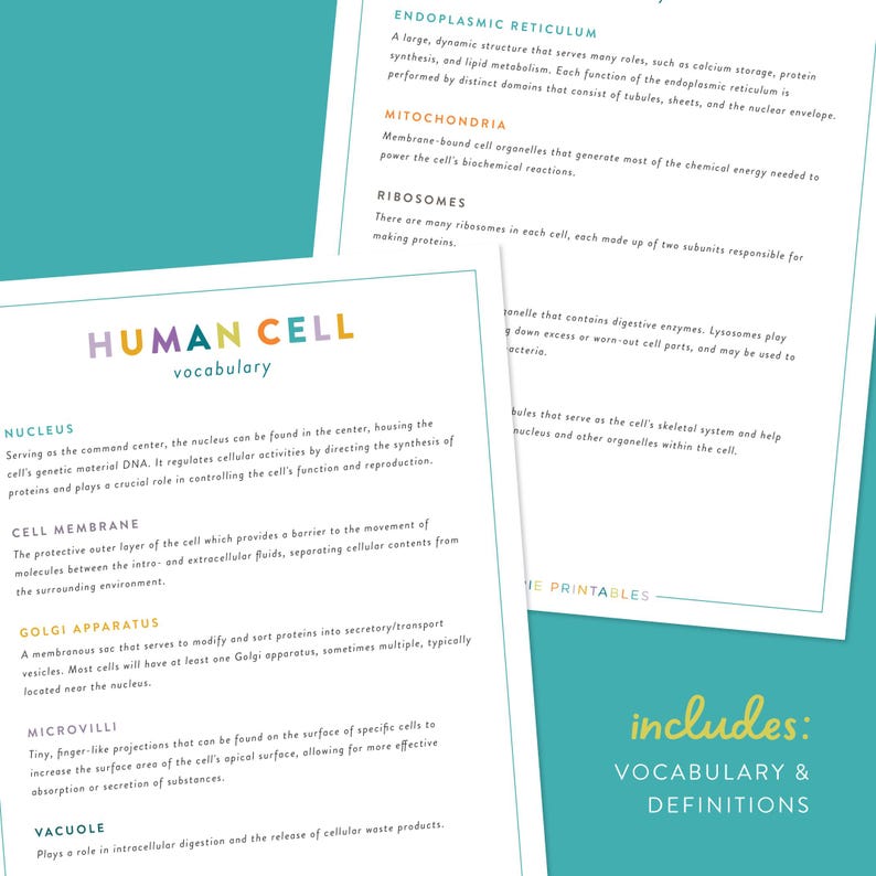 Human Cell Printable Activity Bundle - Human Cell Anatomy - Kids ...