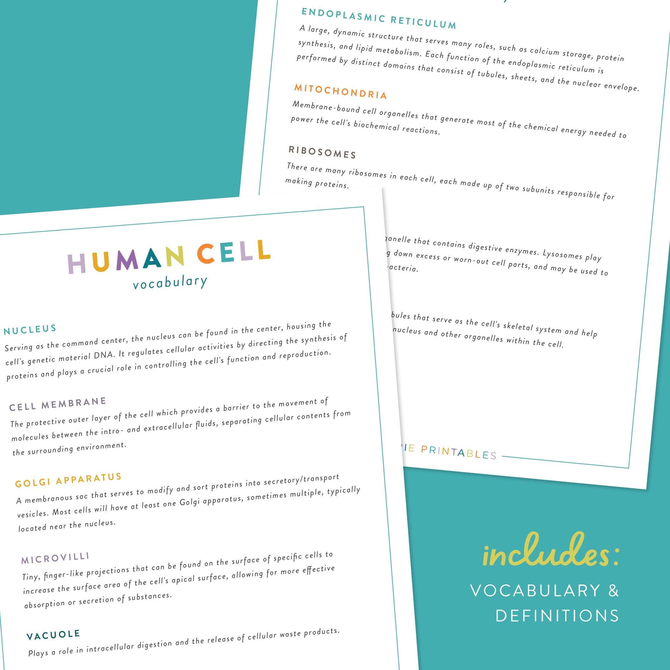 Human Cell Printable Activity Bundle - Human Cell Anatomy - Kids ...