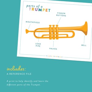 Trumpet Parts Learning Game, Music Activity (printable) - Etsy