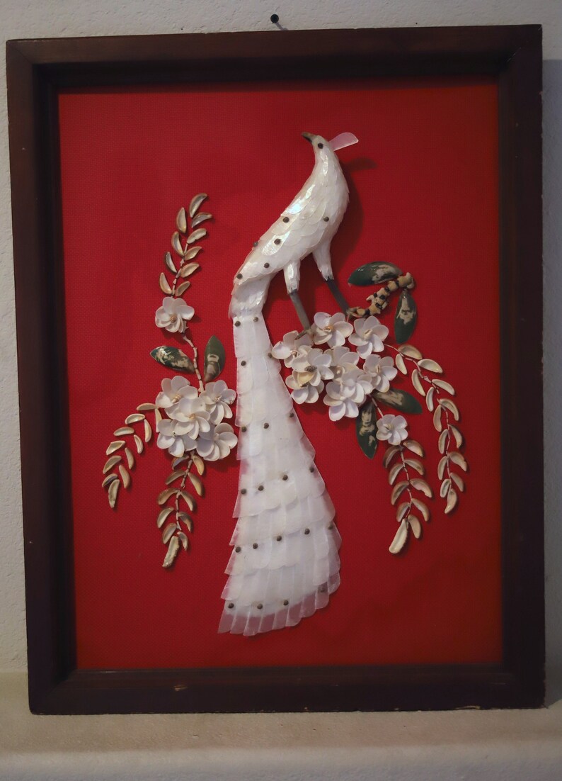 Vintage Asian Shell Art Peacock All Shells Intact. Frame Needs - Etsy