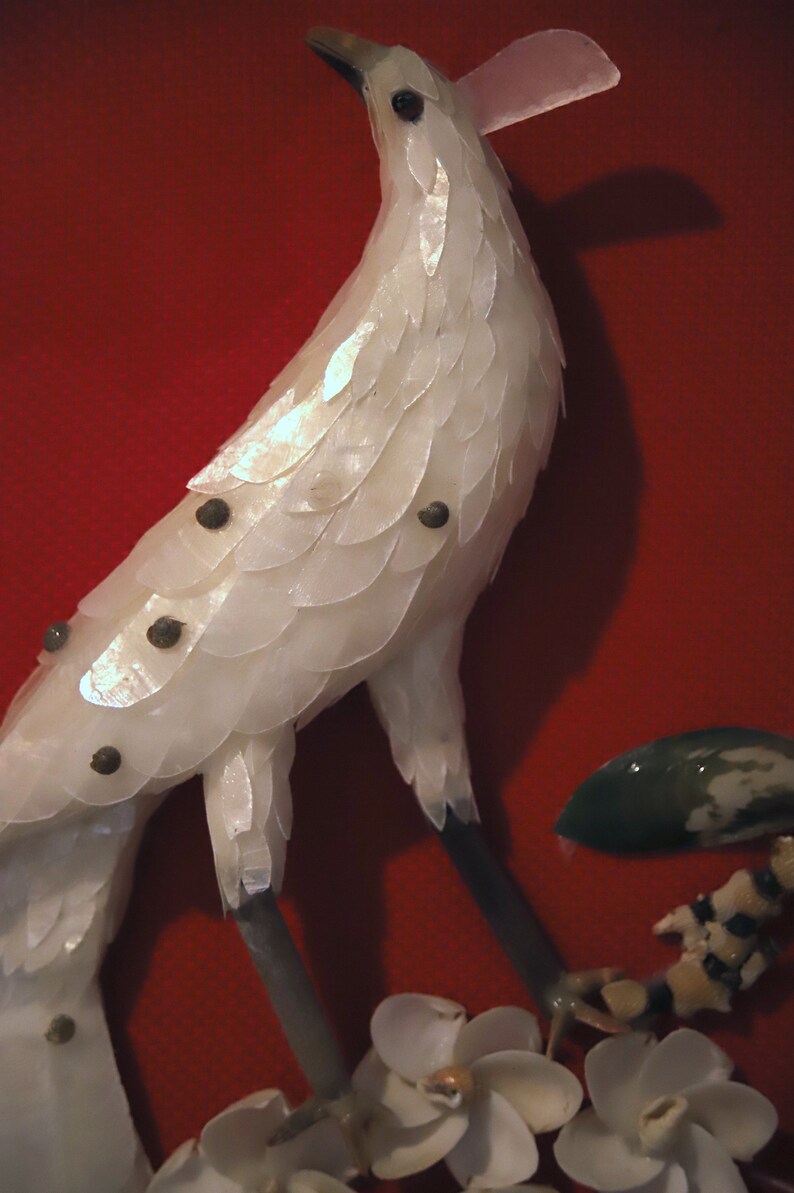Vintage Asian Shell Art Peacock All Shells Intact. Frame Needs - Etsy