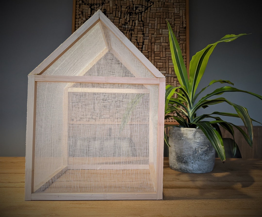PLAN to Download - Caterpillars / Insects Hut - Etsy