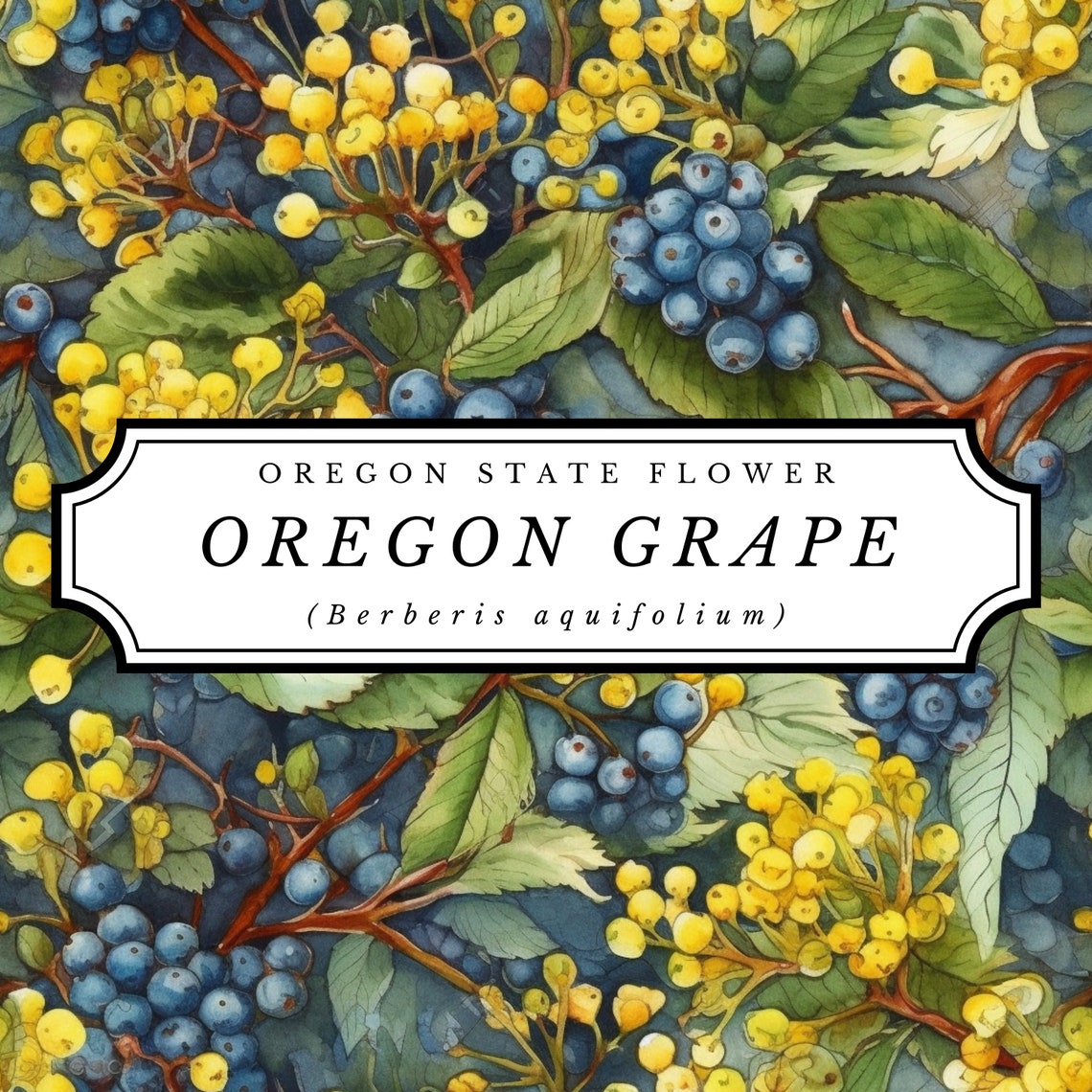 Oregon Grape Digital Paper: Seamless Botanical Pattern (digital ...