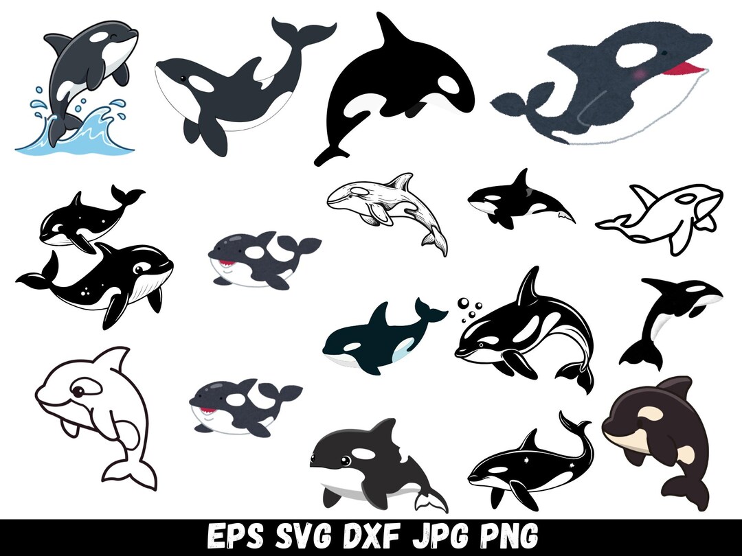 Orca Svg Bundle, Orca Whale Vector, Silhouette, Clipart, PNG, Ocean ...