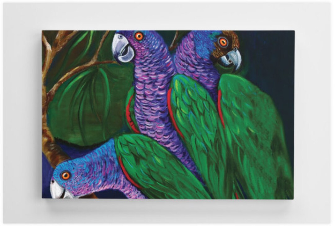 Wall Art Canvas Print Photos Paintings "sisserou Parrot Trio" by ...