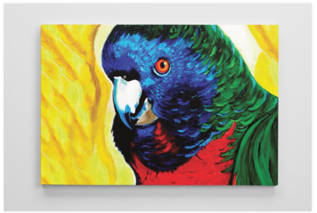 Wall Art Canvas Print Photos Paintings "jacko Parrot" by Lisette ...