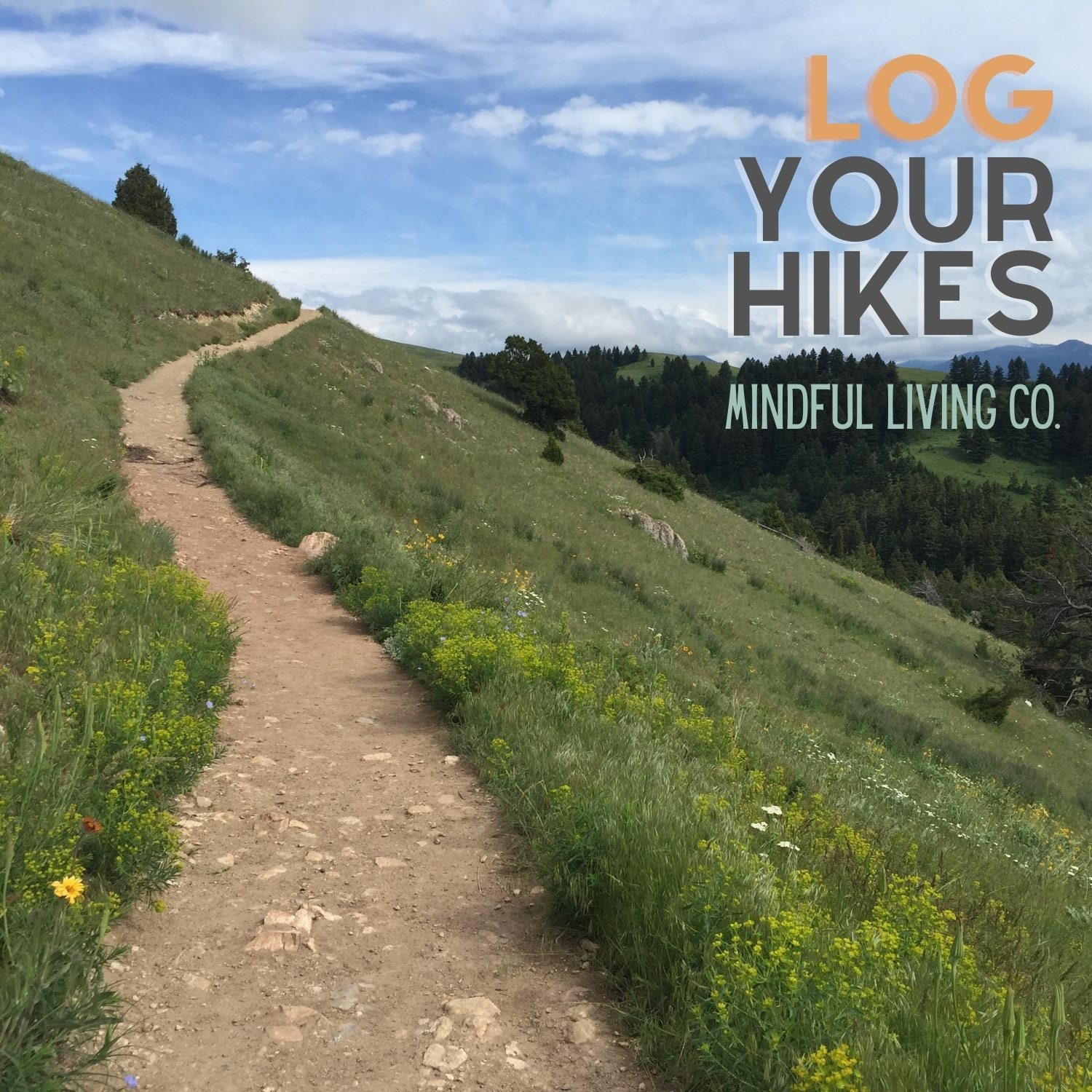 Hiking Log With Lines - Hiking Journal Page- Hike Tracker - Etsy