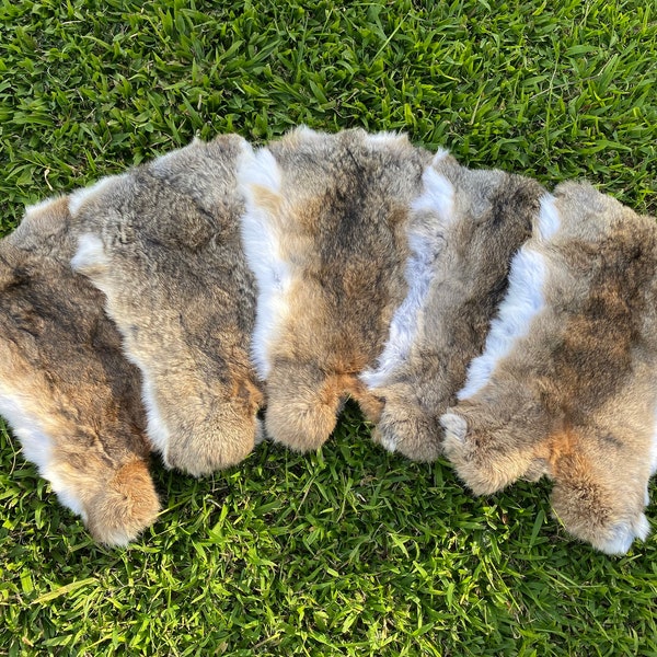 Rabbit Pelt - Etsy