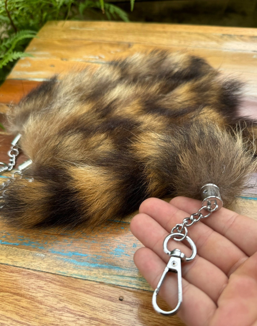Craft Grade Raccoon Tail Key Chain , Curiosities, Oddities, Goblincore ...