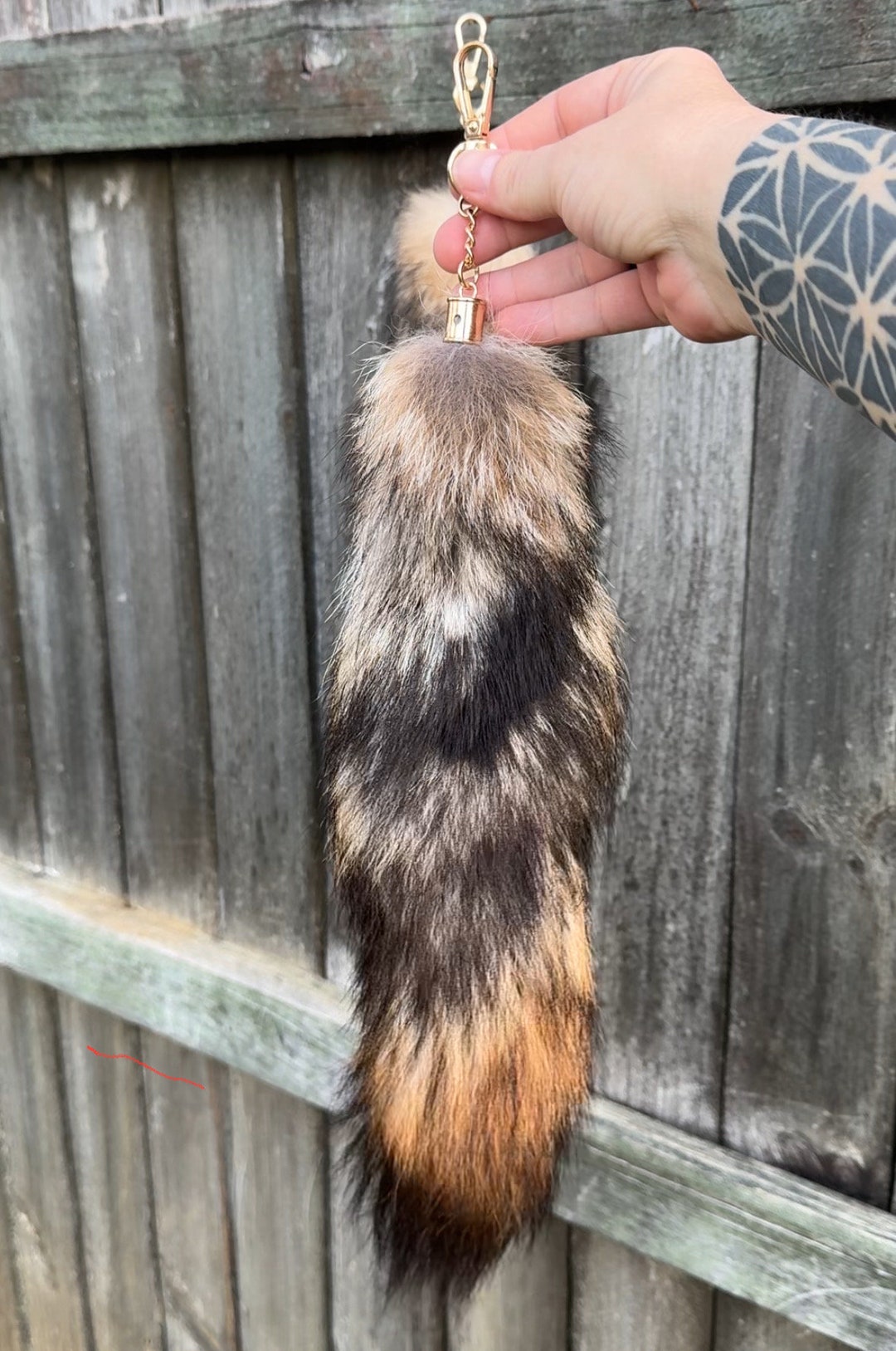 Taxidermy Coyote Tail Keychain, Curiosities and Oddities Collectables ...