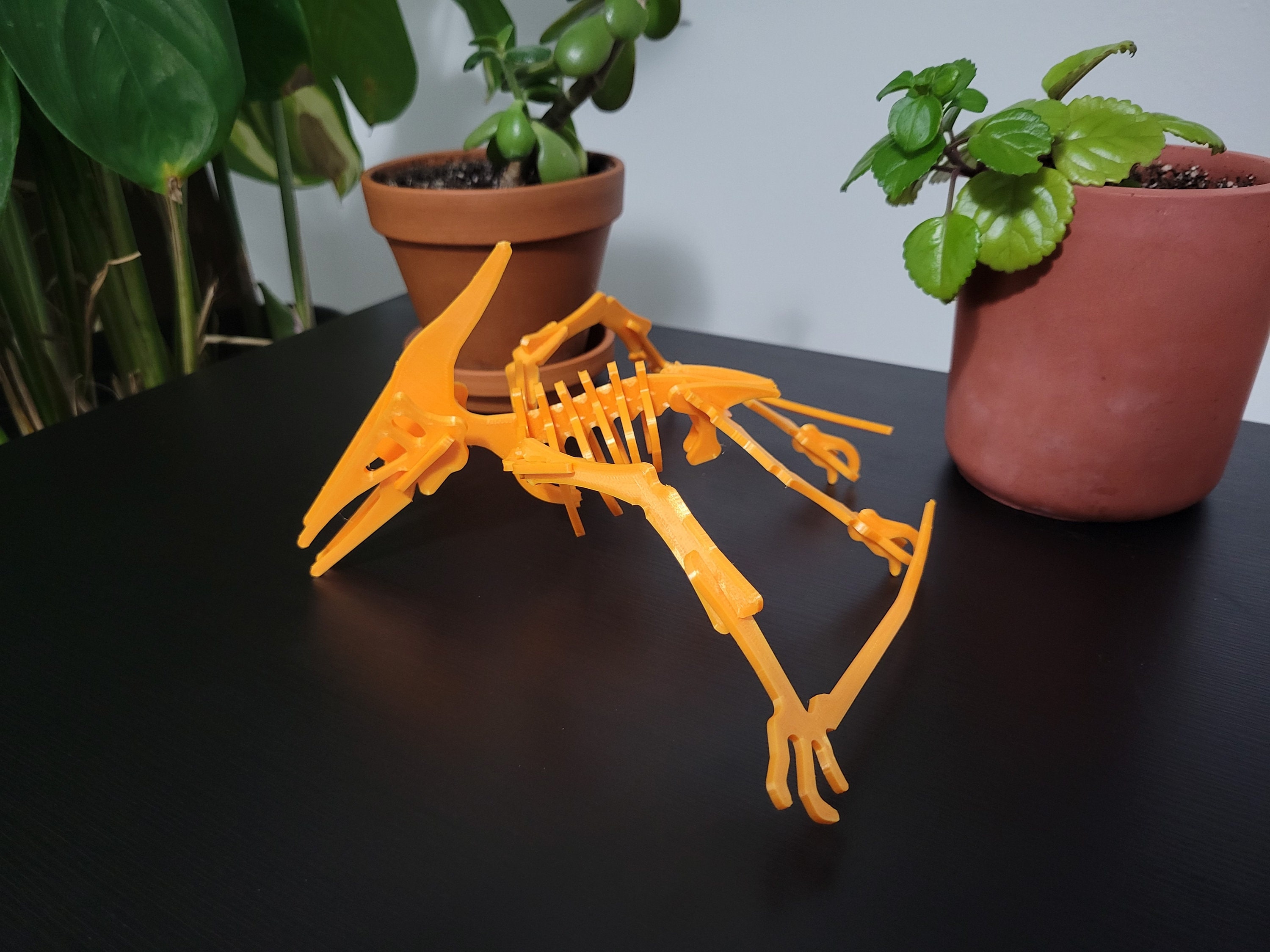 Pterodactyl 3d-printed Dinosaur Puzzle Pterodactyl Skeleton Dinosaur ...