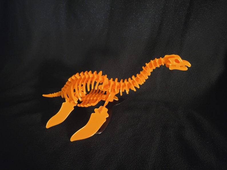 Plesiosaur | 3d-printed Dinosaur Puzzle | Plesiosaur Skeleton ...