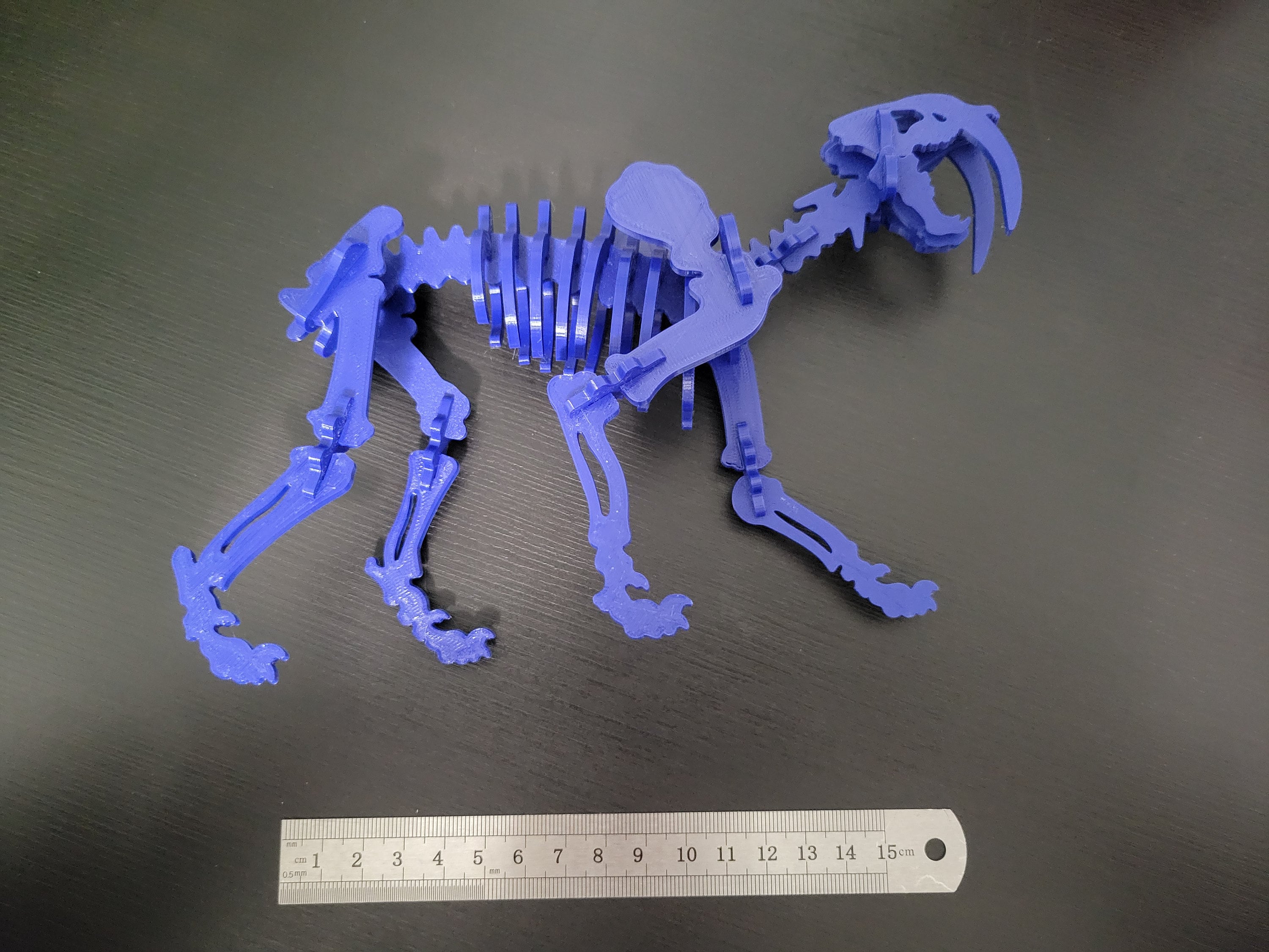 Sabertooth | 3d-printed Dinosaur Puzzle | Sabertooth Skeleton ...