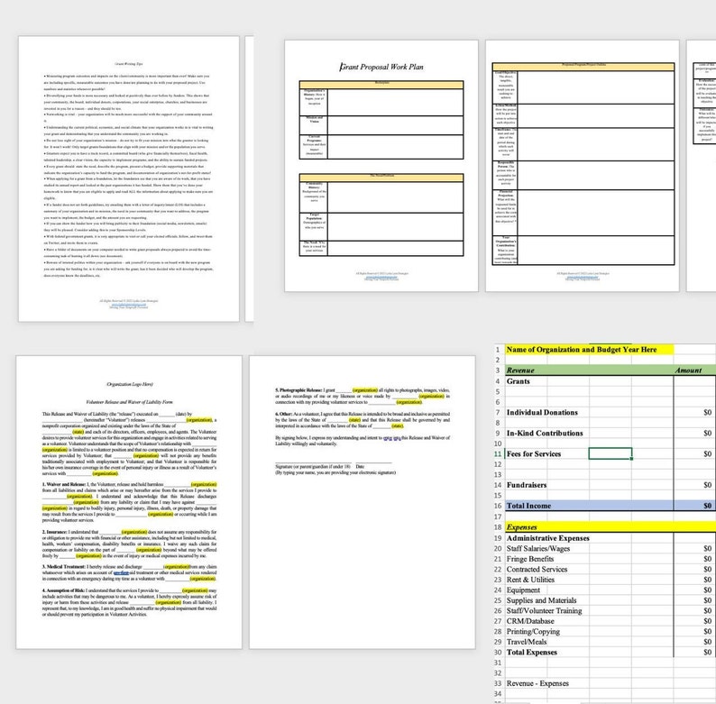 The Nonprofit Grant Work Plan and Letter of Intent Template - Etsy