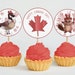 Canada Day Cupcake Toppers, Canada Day Party Decorations, Canadian ...