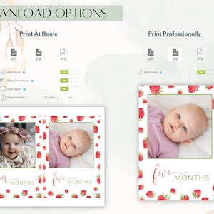 Berry First Birthday Monthly Photo Banner Template, Strawberry Birthday ...