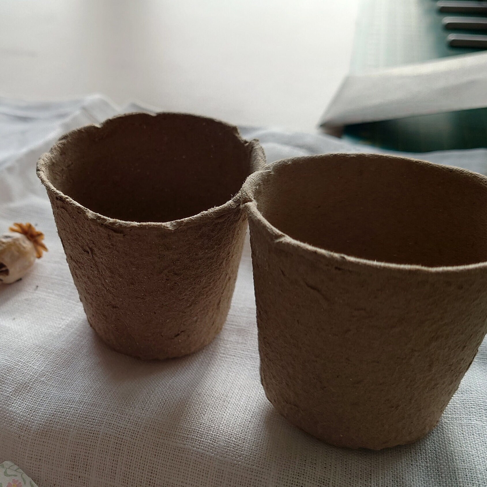Paper Plant Pots Seedling Pots Compostable Pots Plant Out Pots - Etsy