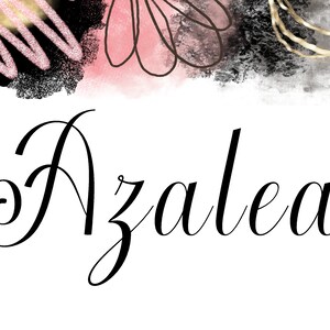 180 Calligraphy Fonts Bundle, Script Font Pack, Cursive Font Set ...