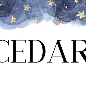 170 Serif Fonts Bundle, Classic Fonts, Logo Font Pack, Modern Font Set ...