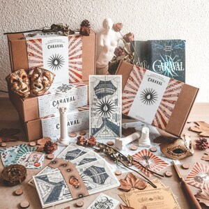 CARAVAL BOX - Produit FanArt réalisé par Andrés Aguirre @aaguirreart ...