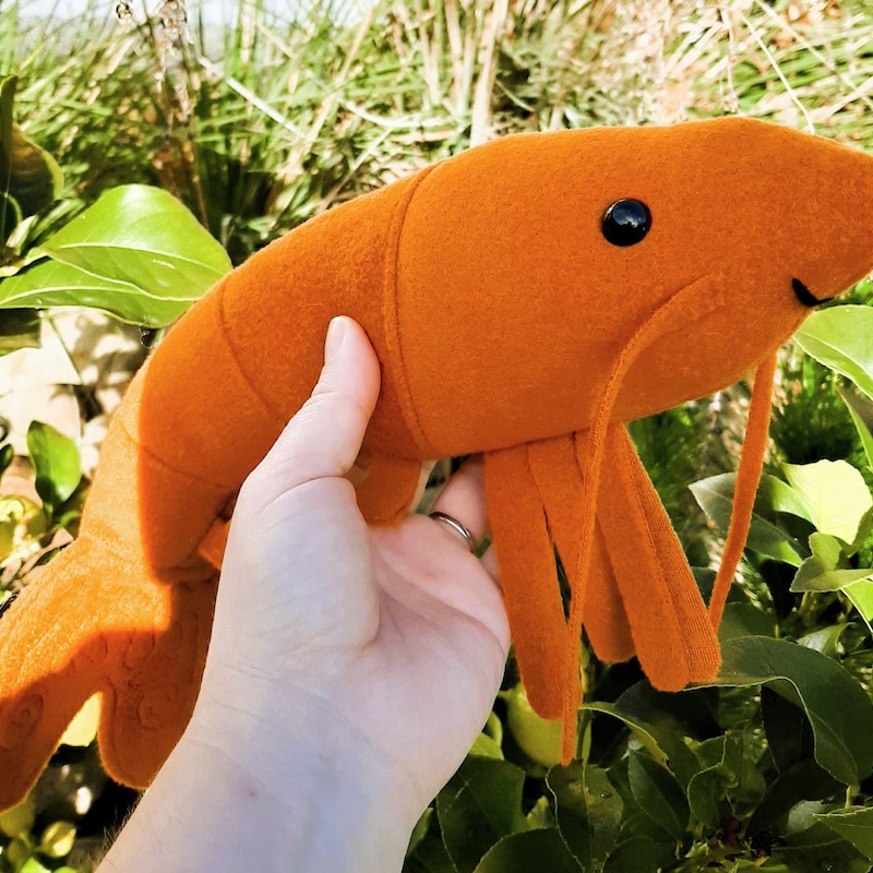 Shrimp Sewing Patterns - Etsy UK