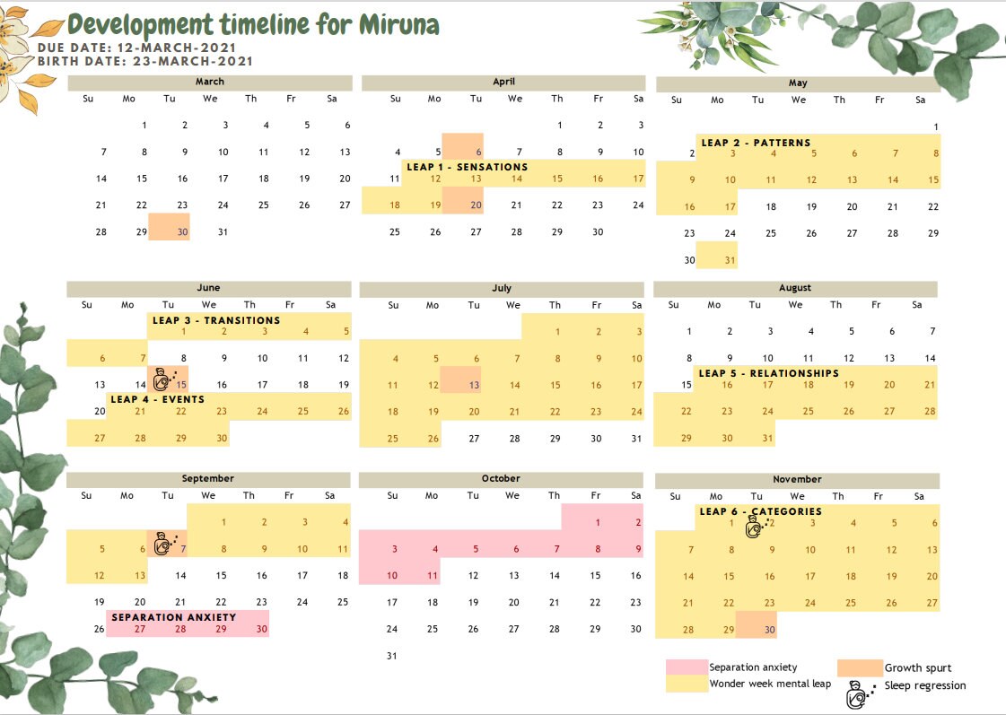 Printable Timeline With Dates for Your Baby Milestones - Etsy