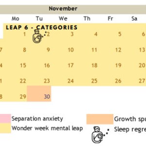 Printable Timeline With Dates for Your Baby Milestones - Etsy