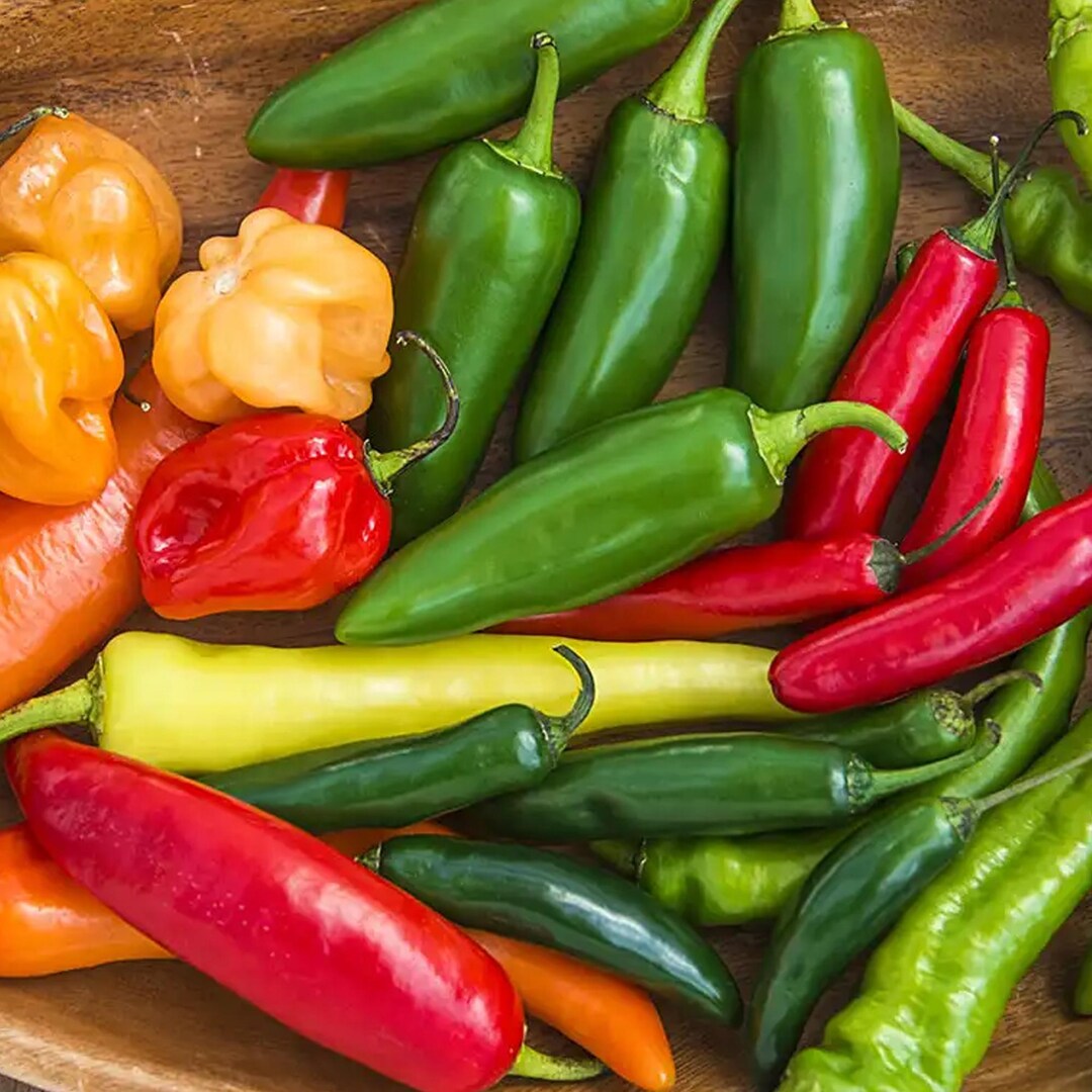 100+ Mixed Pepper Seeds, Heirloom Sweet Snacking Peppers, Colorful ...