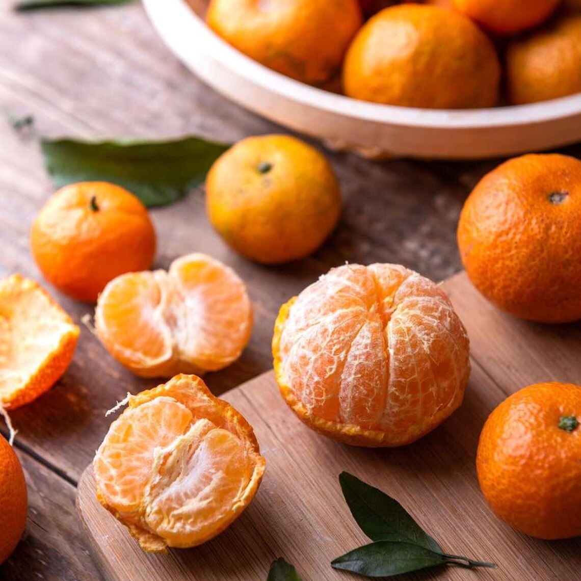 20 Tangerine Mandarin Orange Seeds Sweet Fruit Tree Tropical Garden ...