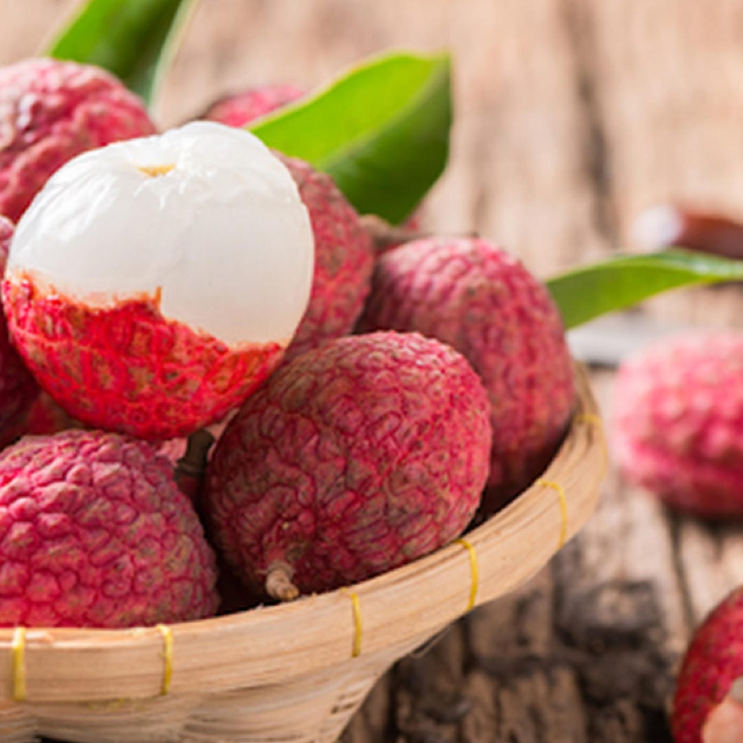 10pcs Lychee Tropical Fruit Heirloom Seeds for Planting, Sweet Exotic ...